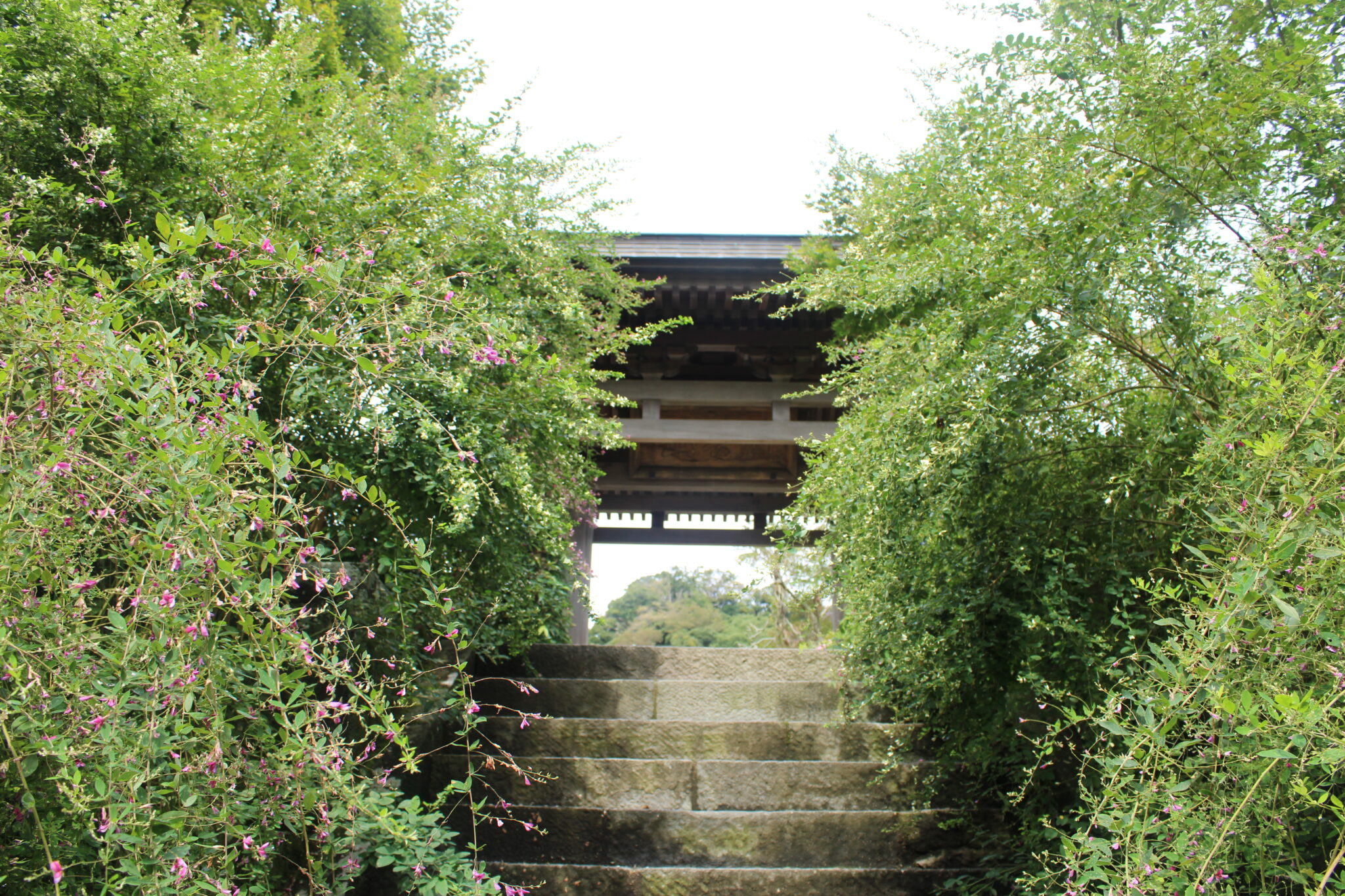 15 Kaizō-ji Temple in Kamakura: Zen Relics, Flower Temple & the ...